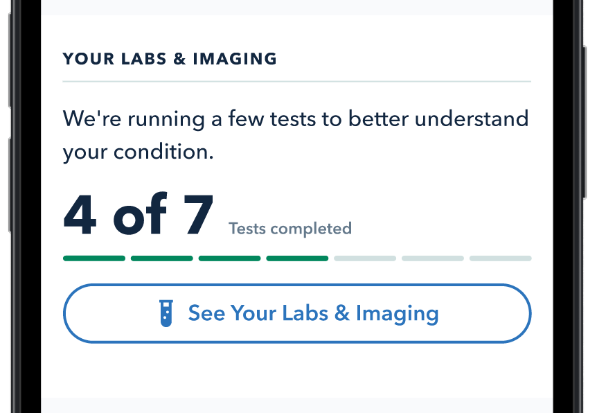 Vital | Product Guide